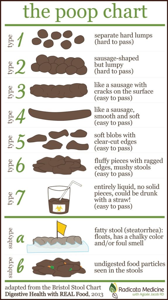 Why Is My Poop Green Your Common Poop Questions Answered
