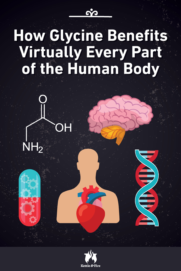 How Glycine Benefits Virtually Every Part of the Human Body